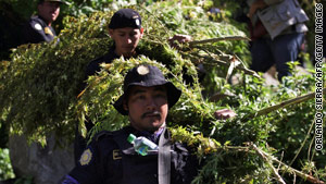 Report: Marijuana cultivation in Mexico rises - CNN.com