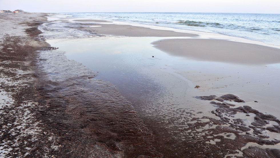 Gulf Coast oil disaster: Photos