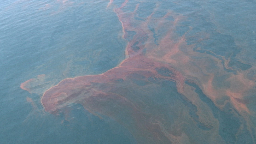 Gulf Coast oil spill: Photos