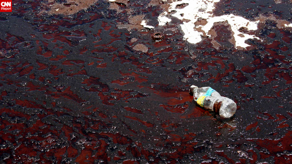 Gulf Coast oil disaster: Photos