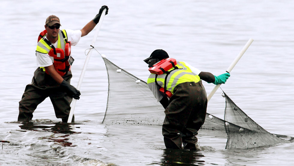 Gulf Coast oil disaster: Photos