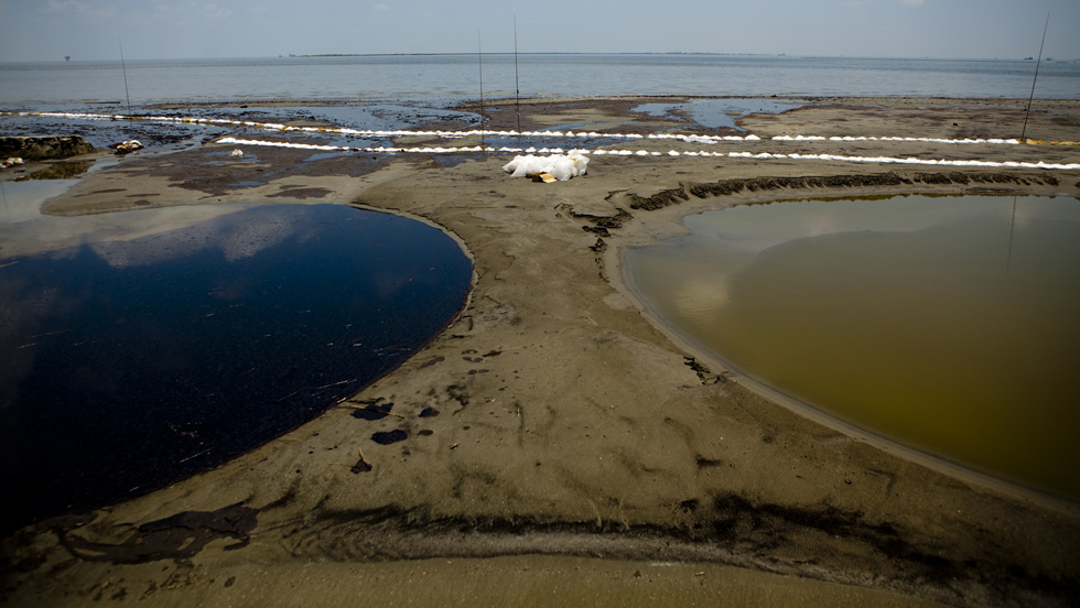 Gulf Coast oil disaster: Photos