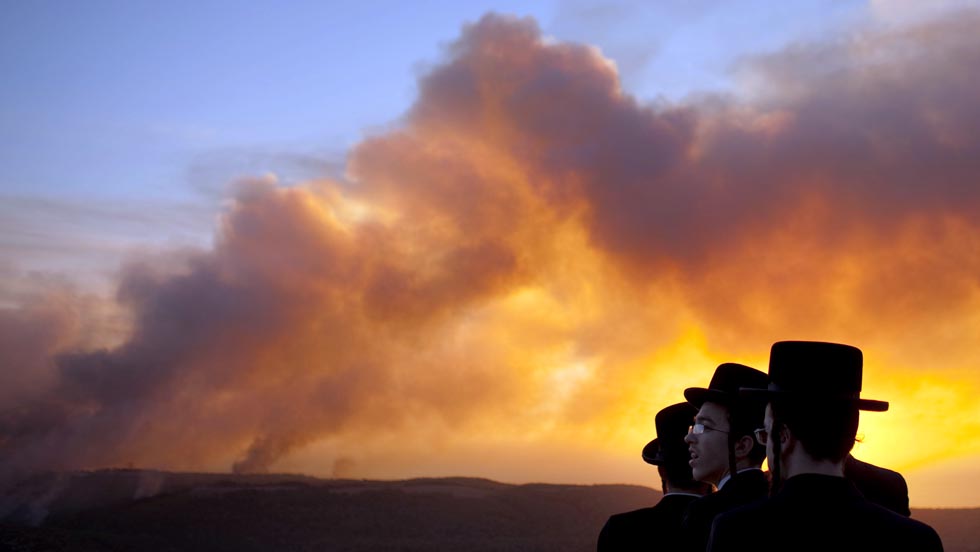 Israeli wildfire: Photos