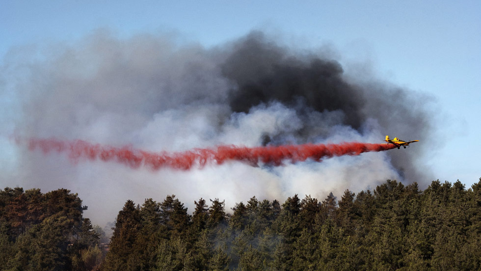 Israeli wildfire: Photos