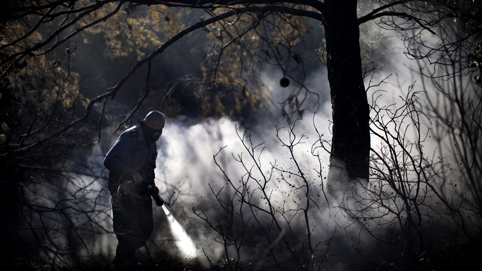 Israeli wildfire: Photos