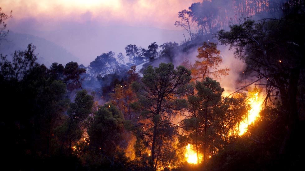 Israeli wildfire: Photos